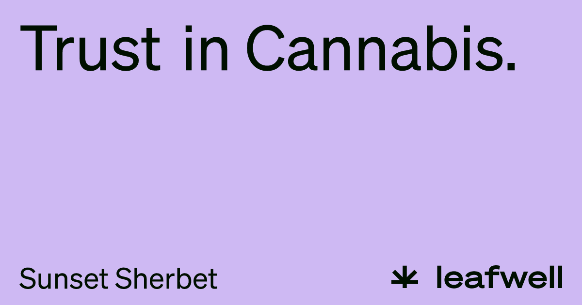 Sunset Sherbet Marijuana Strain